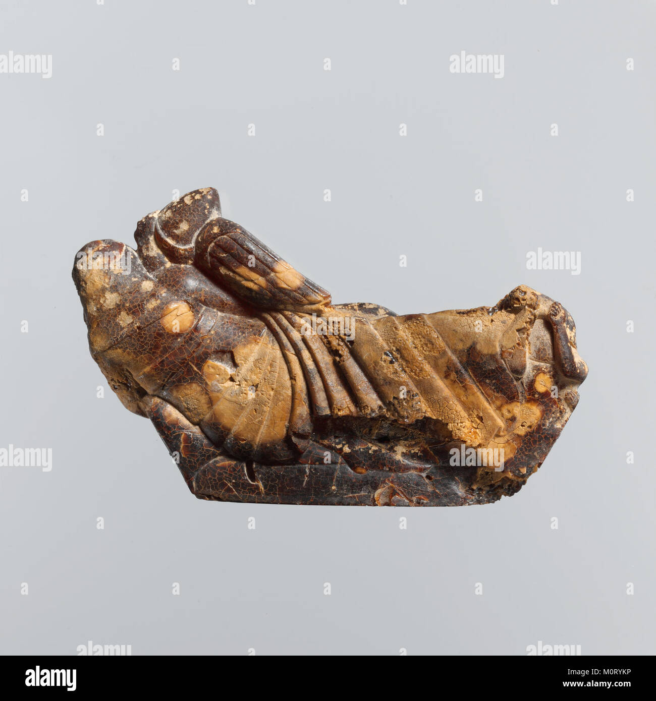 Bow fibula hi-res stock photography and images - Alamy