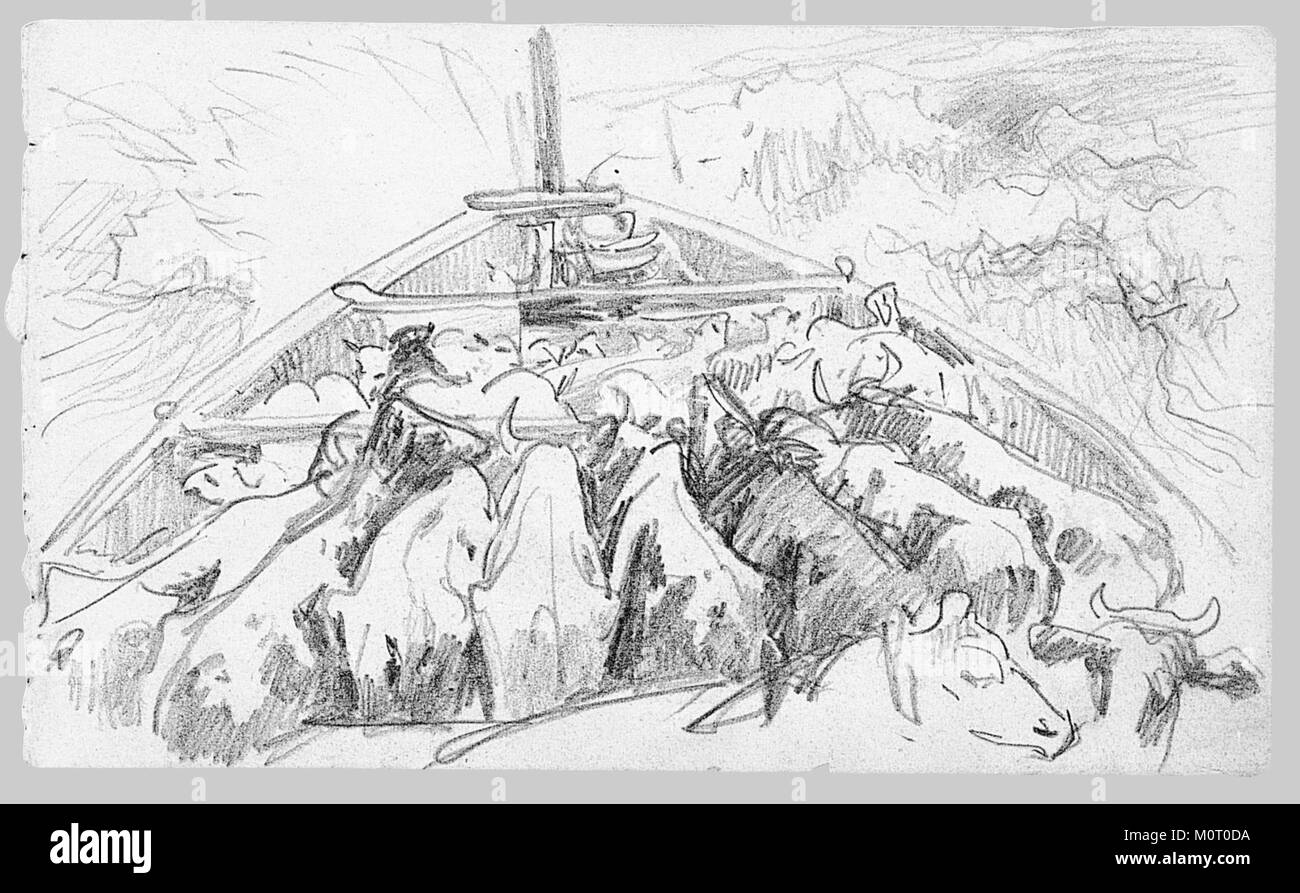 Cattle stern boat hi-res stock photography and images - Alamy