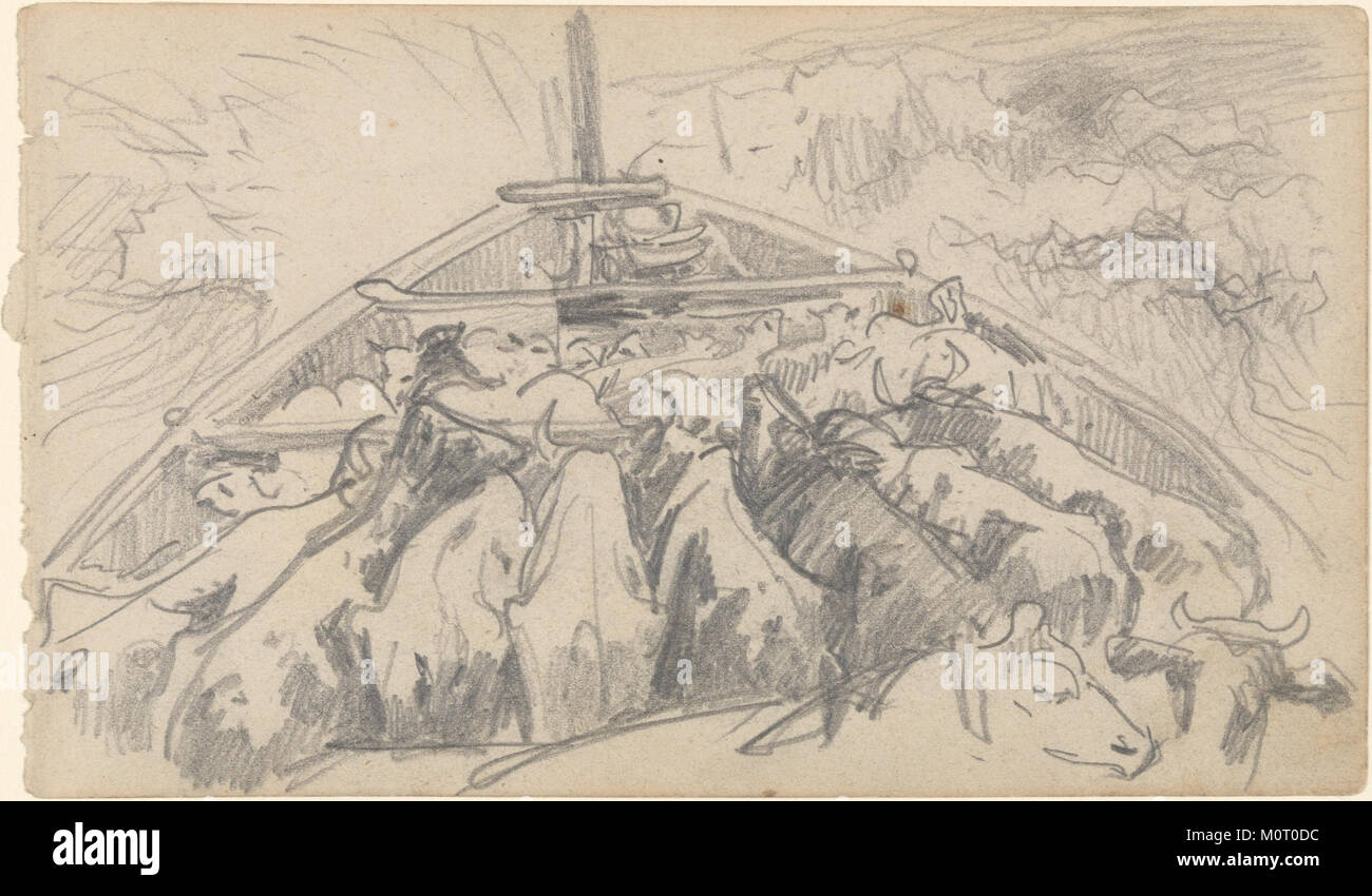 This image depicts cattle being transported in the stern of a boat, as ...