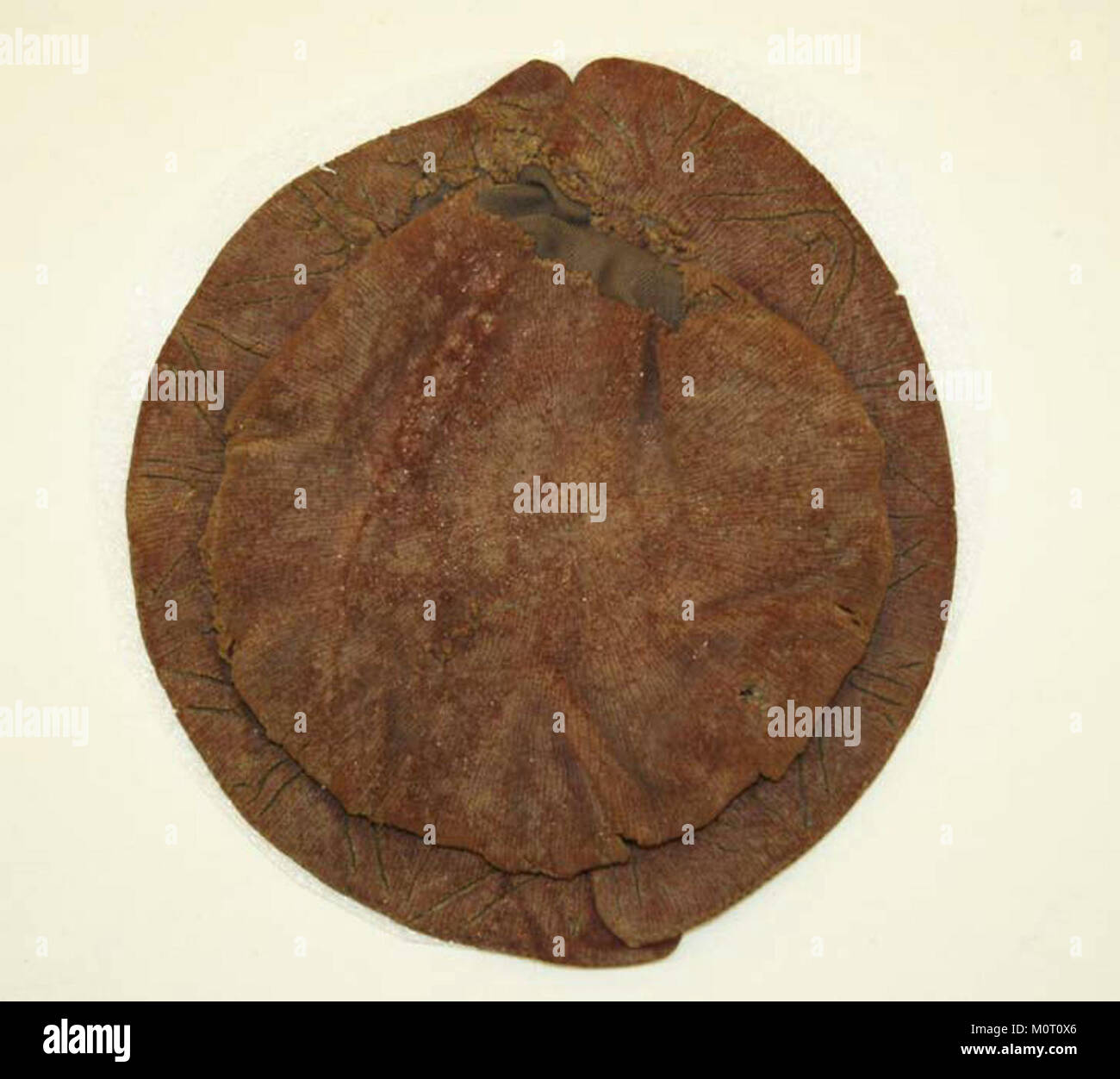 Cap from metropolitan museum hi-res stock photography and images - Alamy