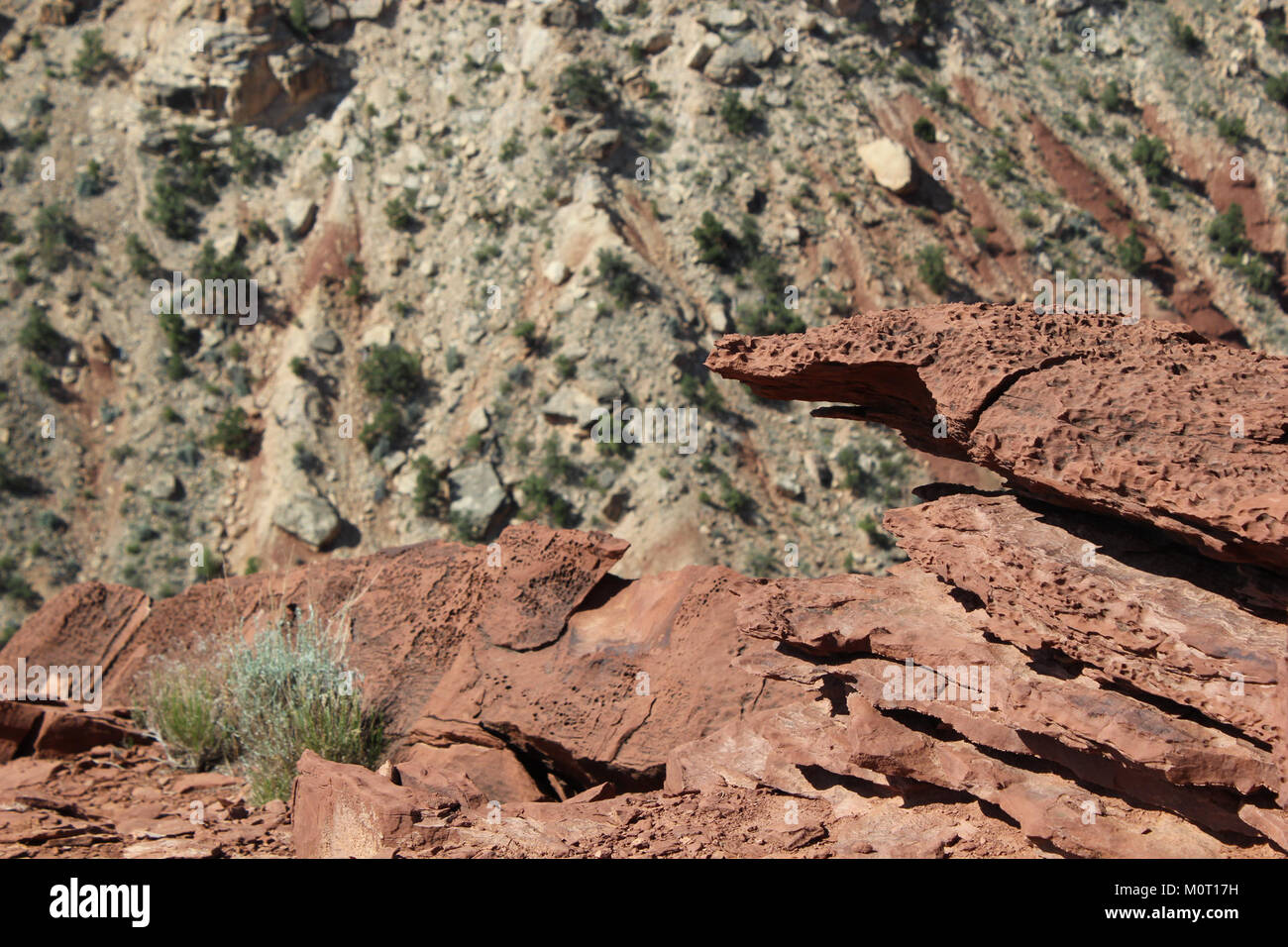The Capitol Reef Rock Overhang is a natural rock formation located in ...