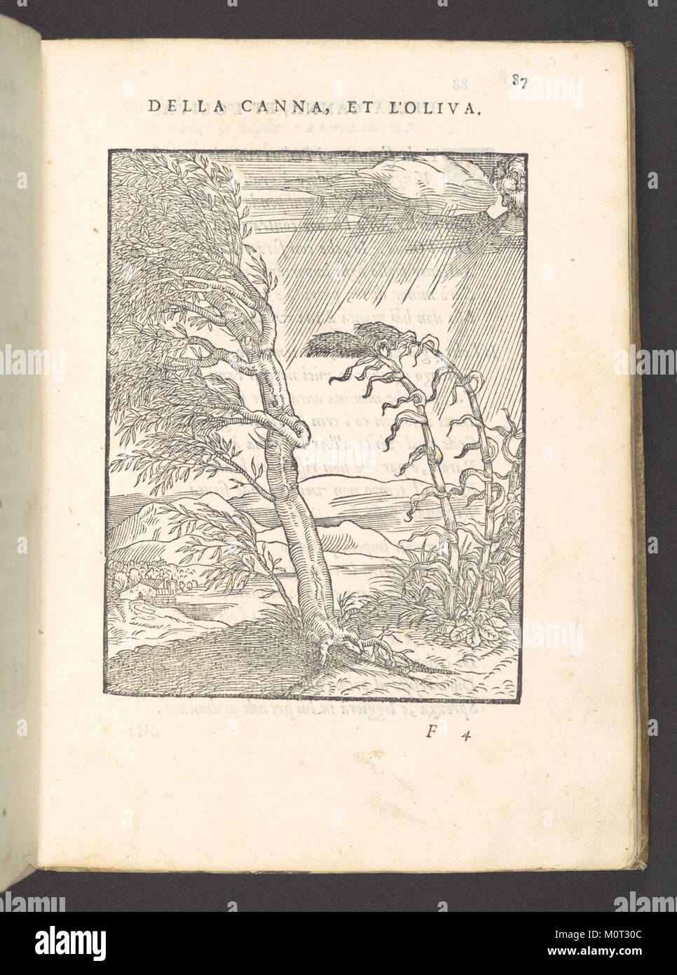 Image of the 'Cento Favole Morali' (100 Moral Fables), a collection of ...