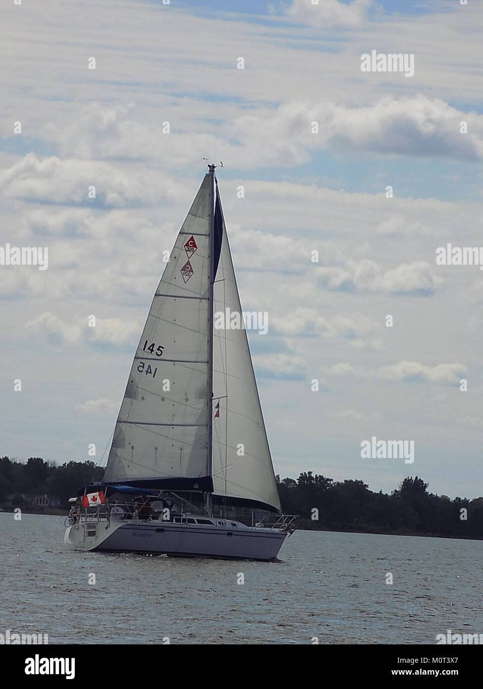 The Catalina 320 sailboat Wanderer 08 is a model of a luxury sailing ...