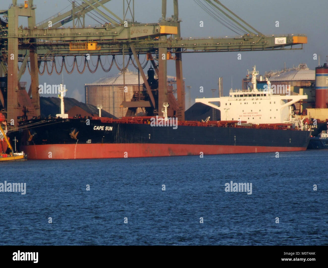 The image depicts the *Cape Sun* (IMO 9174725) docked at the Port of Rotterdam on December 15 ...