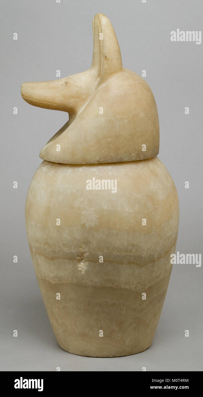 This canopic jar, from the ancient Egyptian period, features a jackal ...