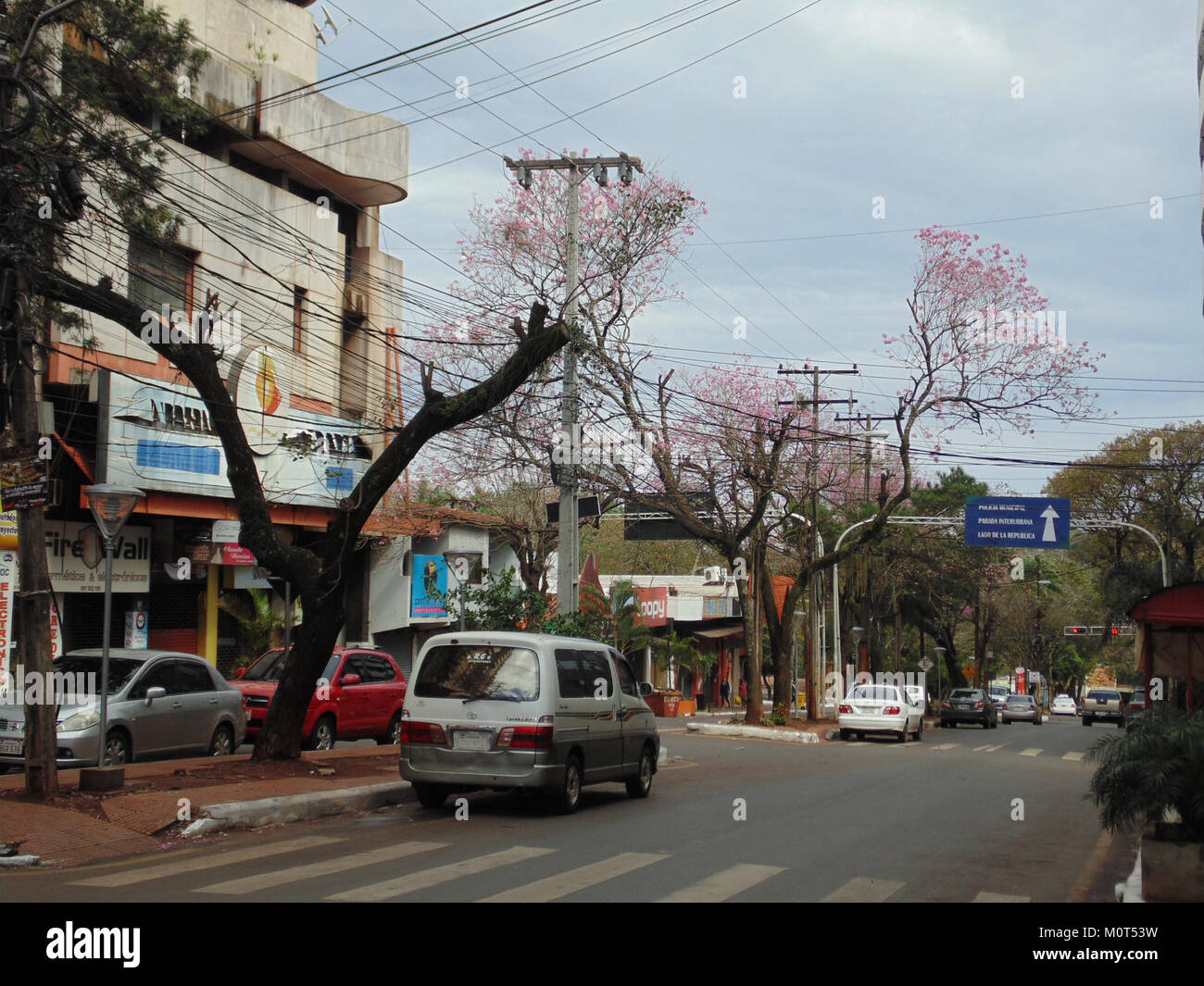 The title likely refers to a historical or cataloged item identified as CDE019, possibly related ...