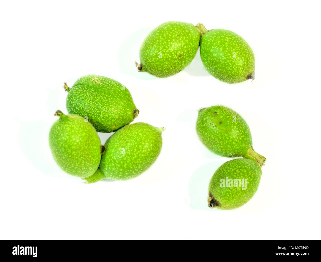 Green Walnuts, with one walnut cut Isolated on White Background Stock ...