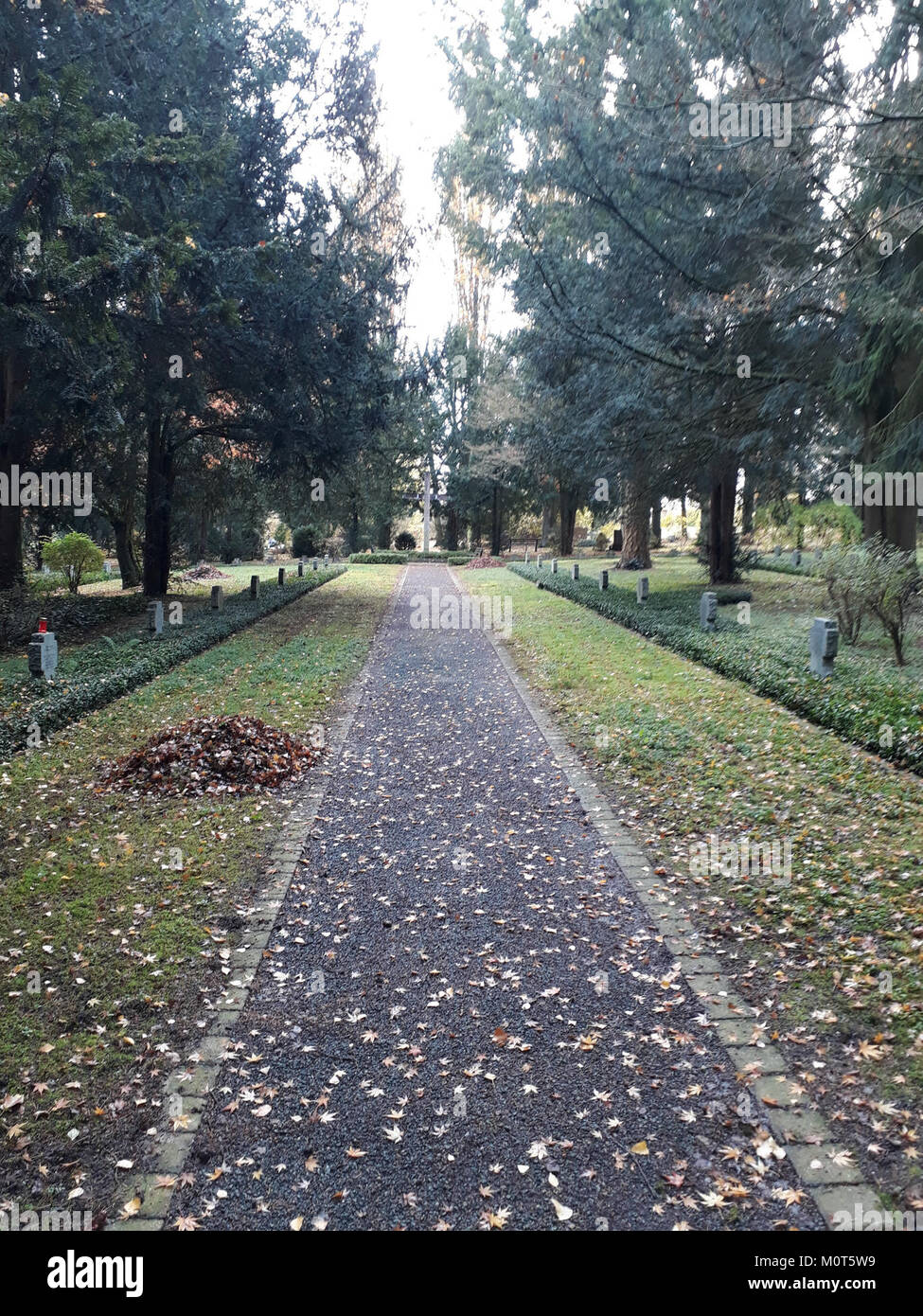 This image shows a cemetery located in Apolda, Germany. It is a place ...