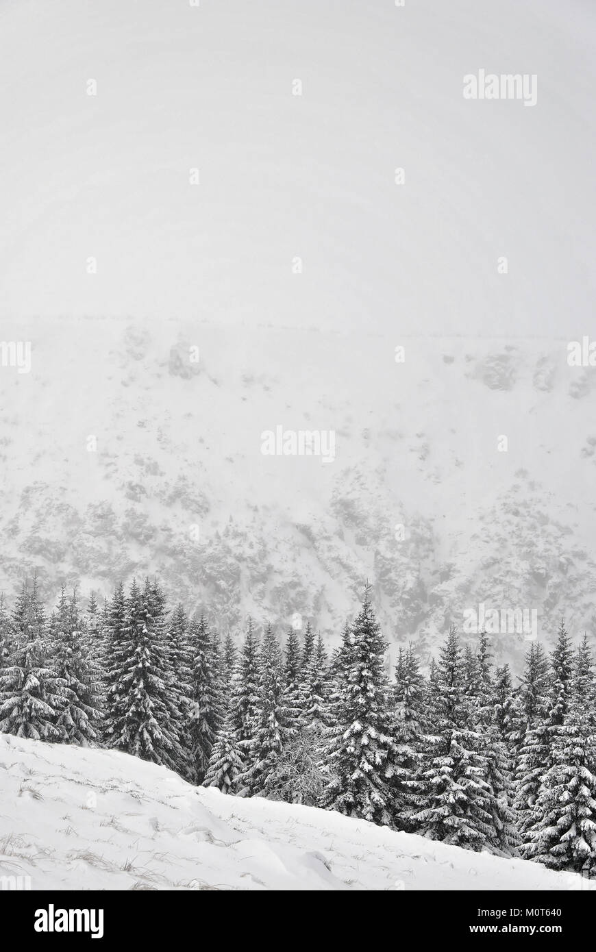 Mountainside mountainside mountainside mountainside cliff hi-res stock ...