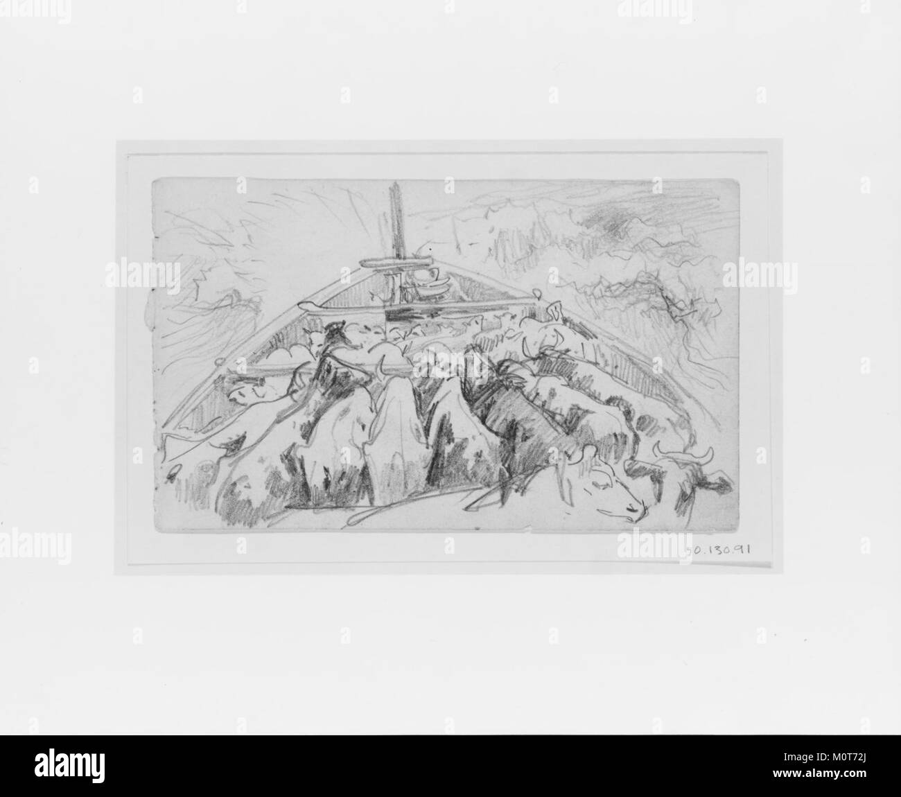 This image features cattle being transported in the stern of a boat, a ...