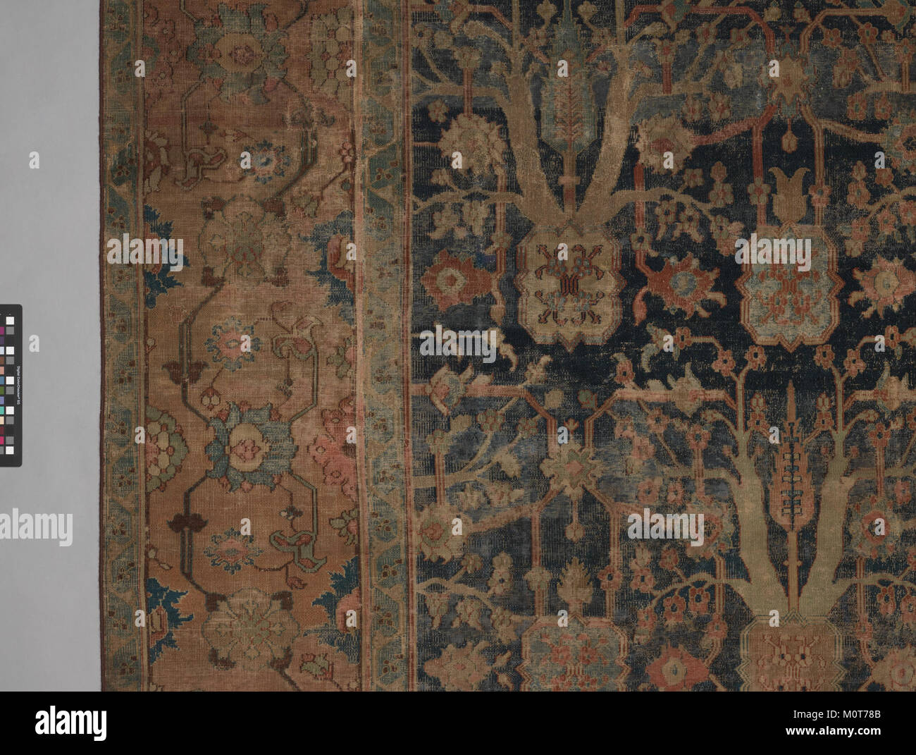 Repeating patterns in nature hi-res stock photography and images - Alamy