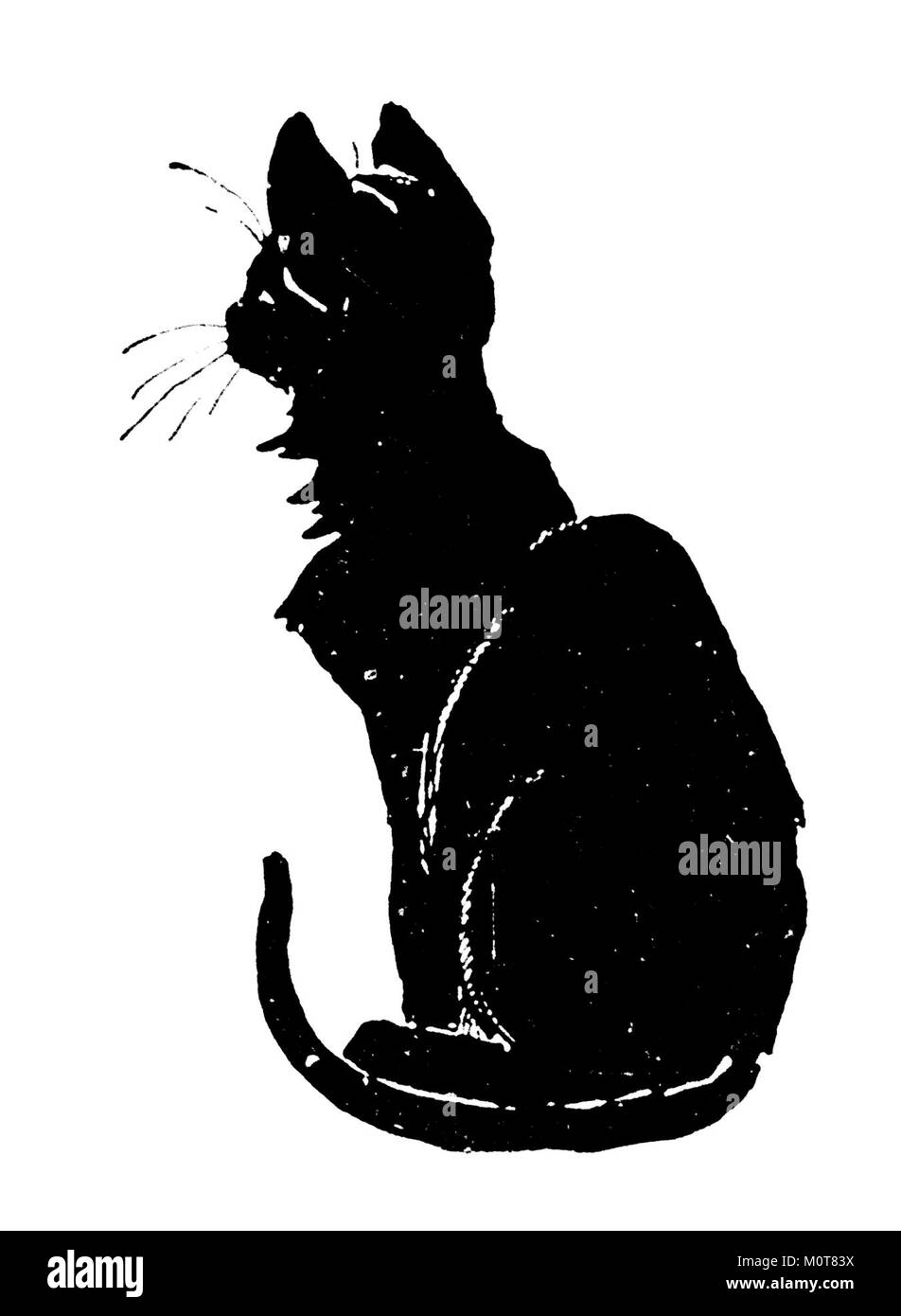Cat words Cut Out Stock Images & Pictures - Alamy