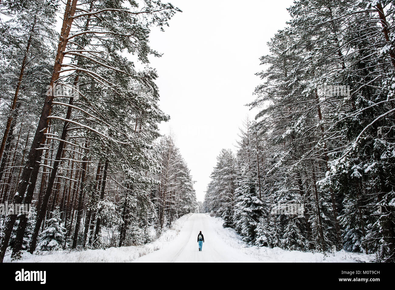 Woman alone walking winter park hi-res stock photography and images - Alamy