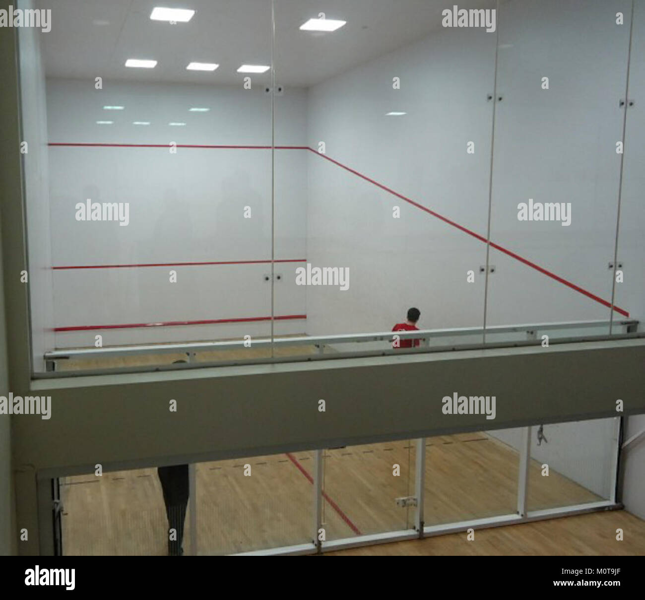 Carnegie Mellon University features a state-of-the-art squash court ...