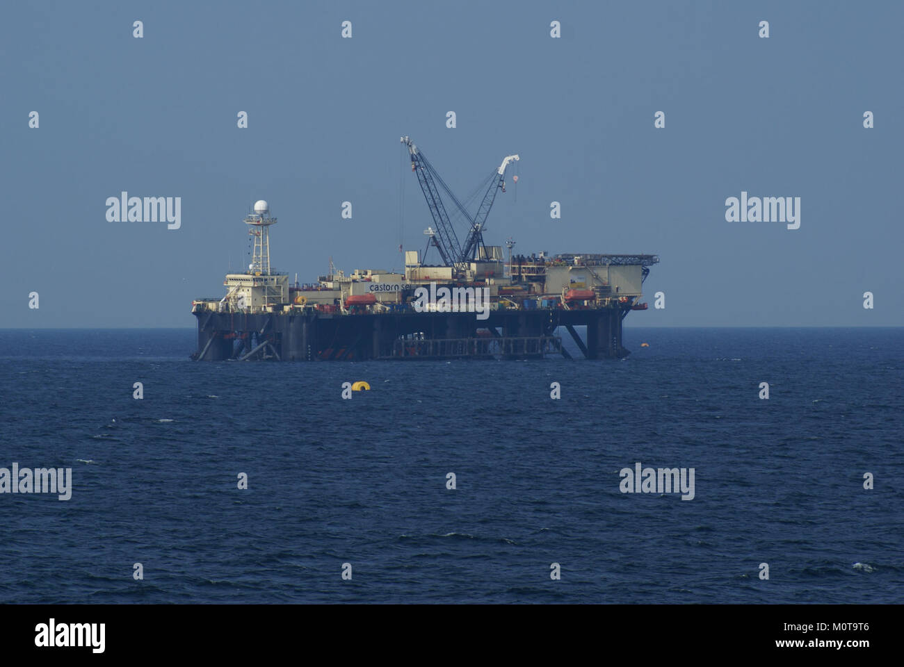 Castoro sei hi-res stock photography and images - Alamy