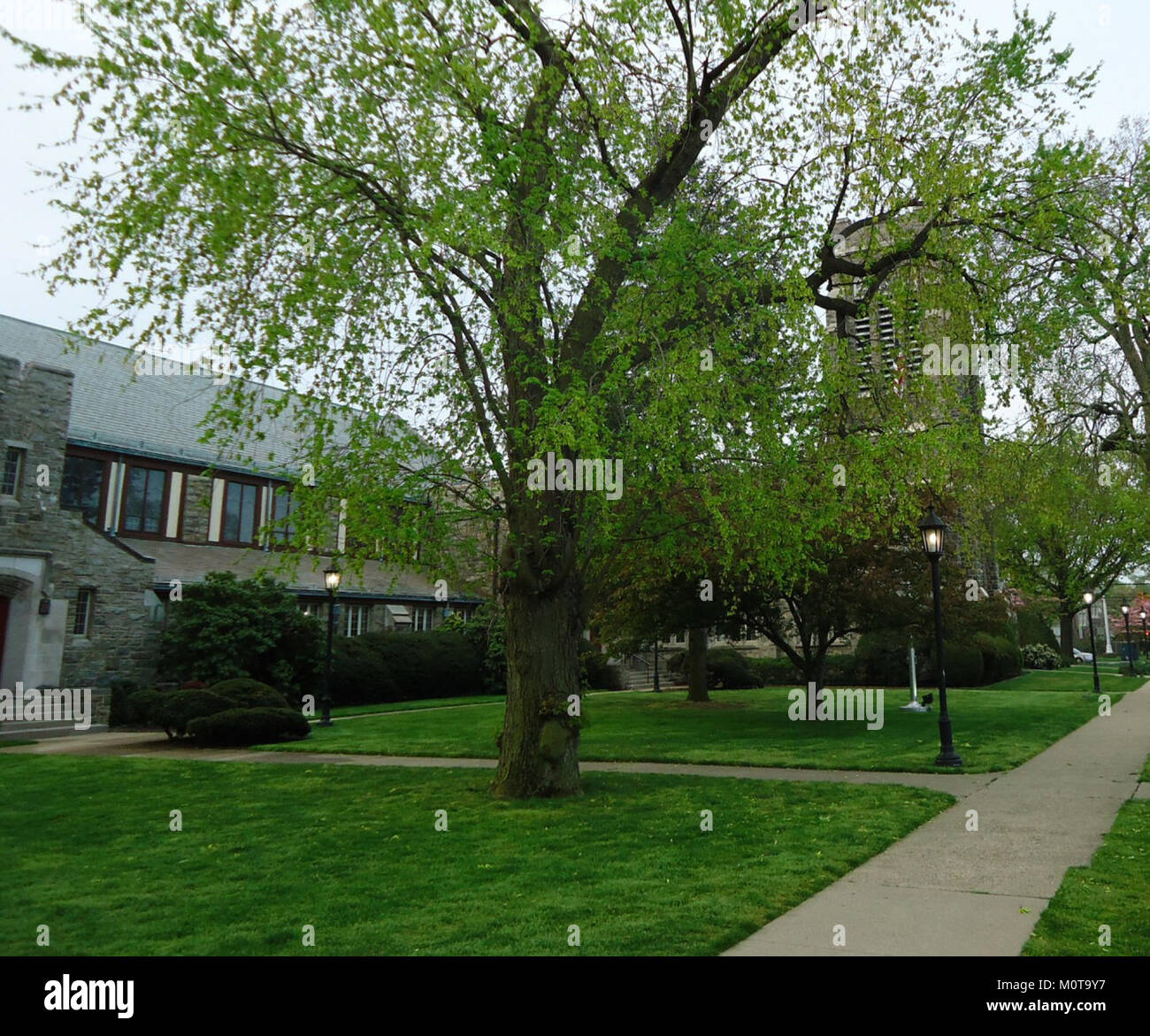 Central Presbyterian Church in Summit NJ 2 Stock Photo - Alamy