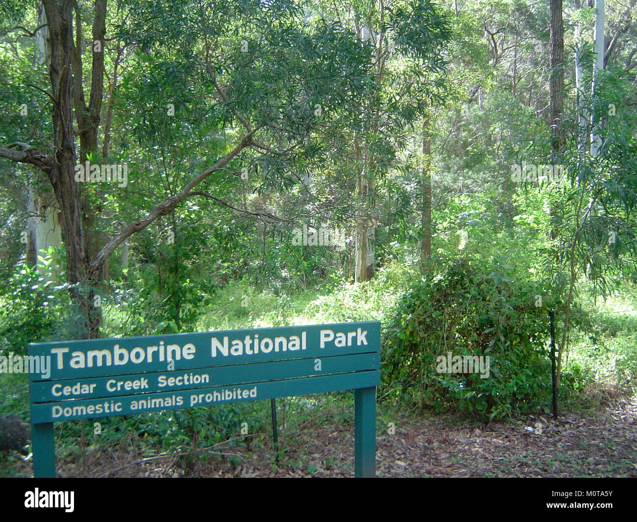 Cedar Creek Falls, located in Tamborine National Park, Queensland ...