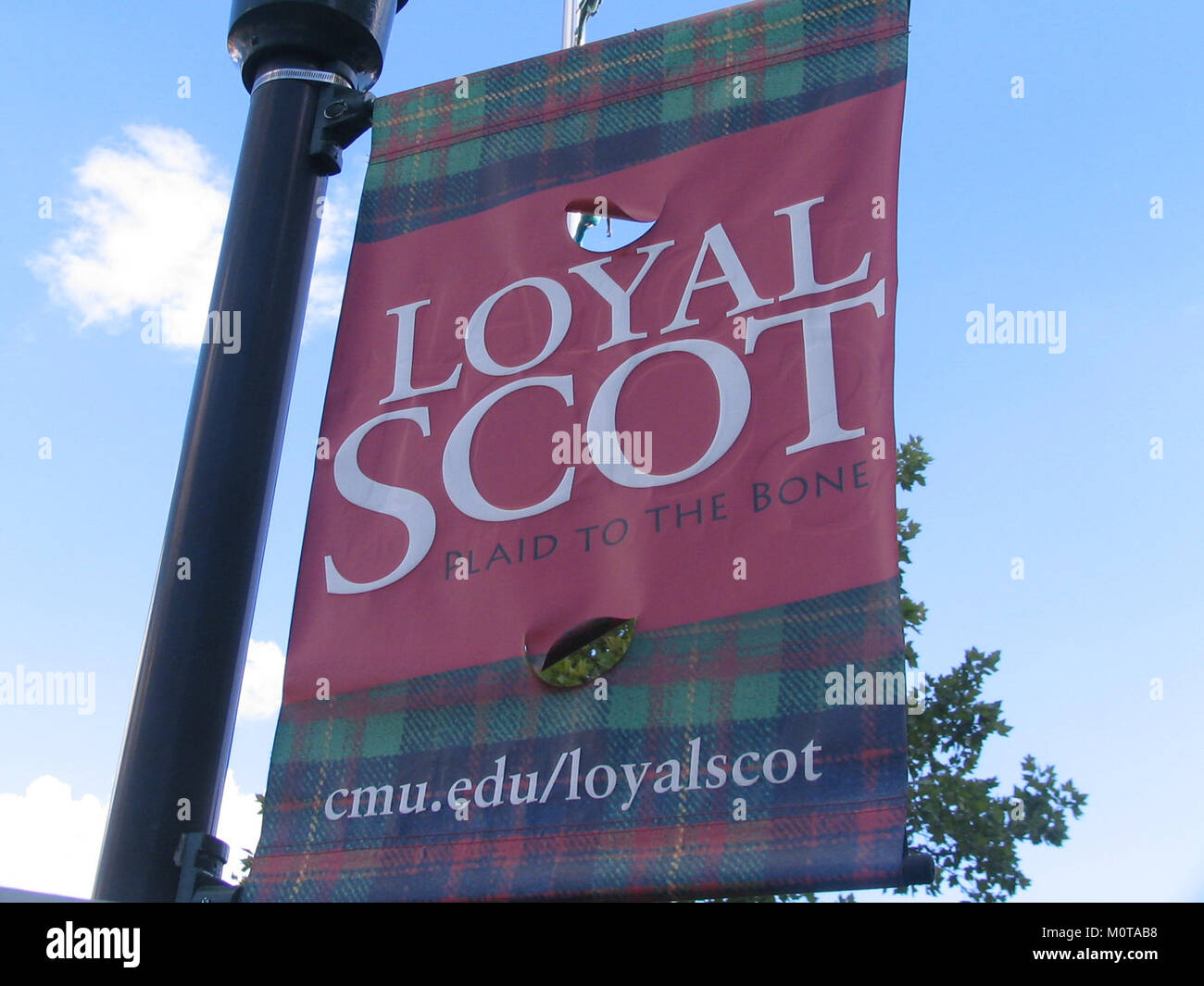 Loyal sign hi-res stock photography and images - Alamy