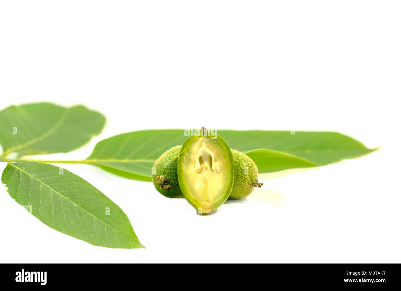 Green Walnuts, with one walnut cut Isolated on White Background Stock ...