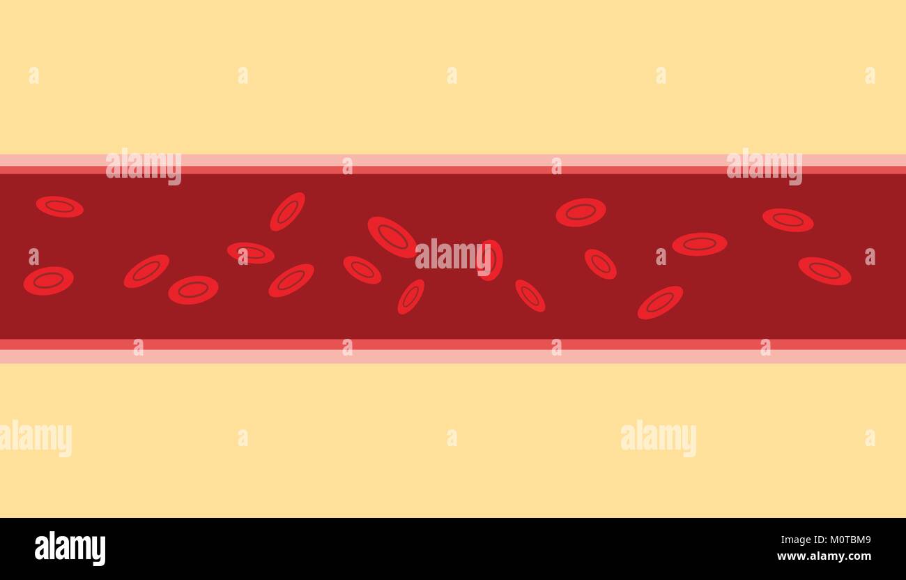 Normal red blood cells Stock Vector Images - Alamy