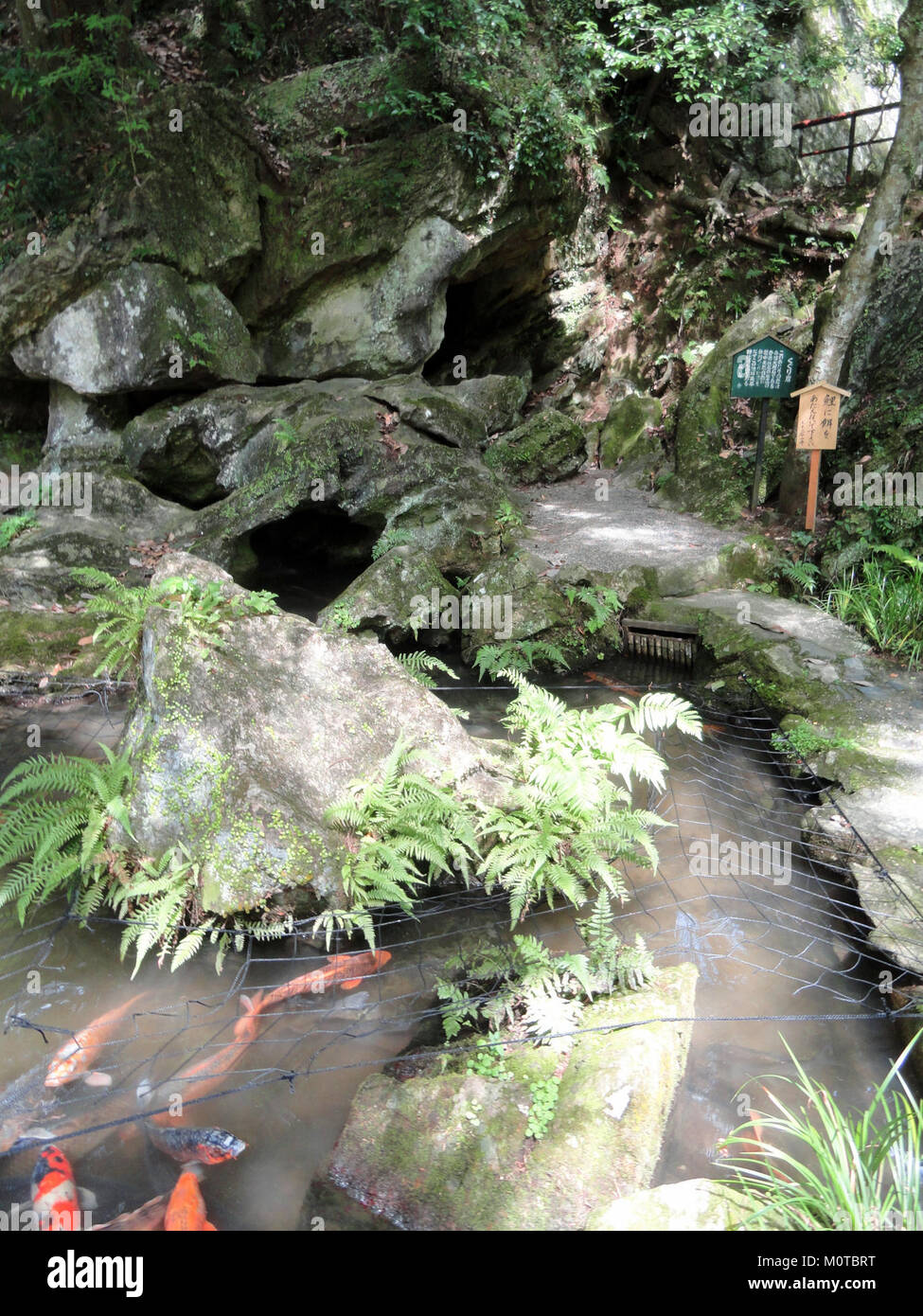 This image shows the cave at Ishiyamadera, a historic Buddhist temple ...