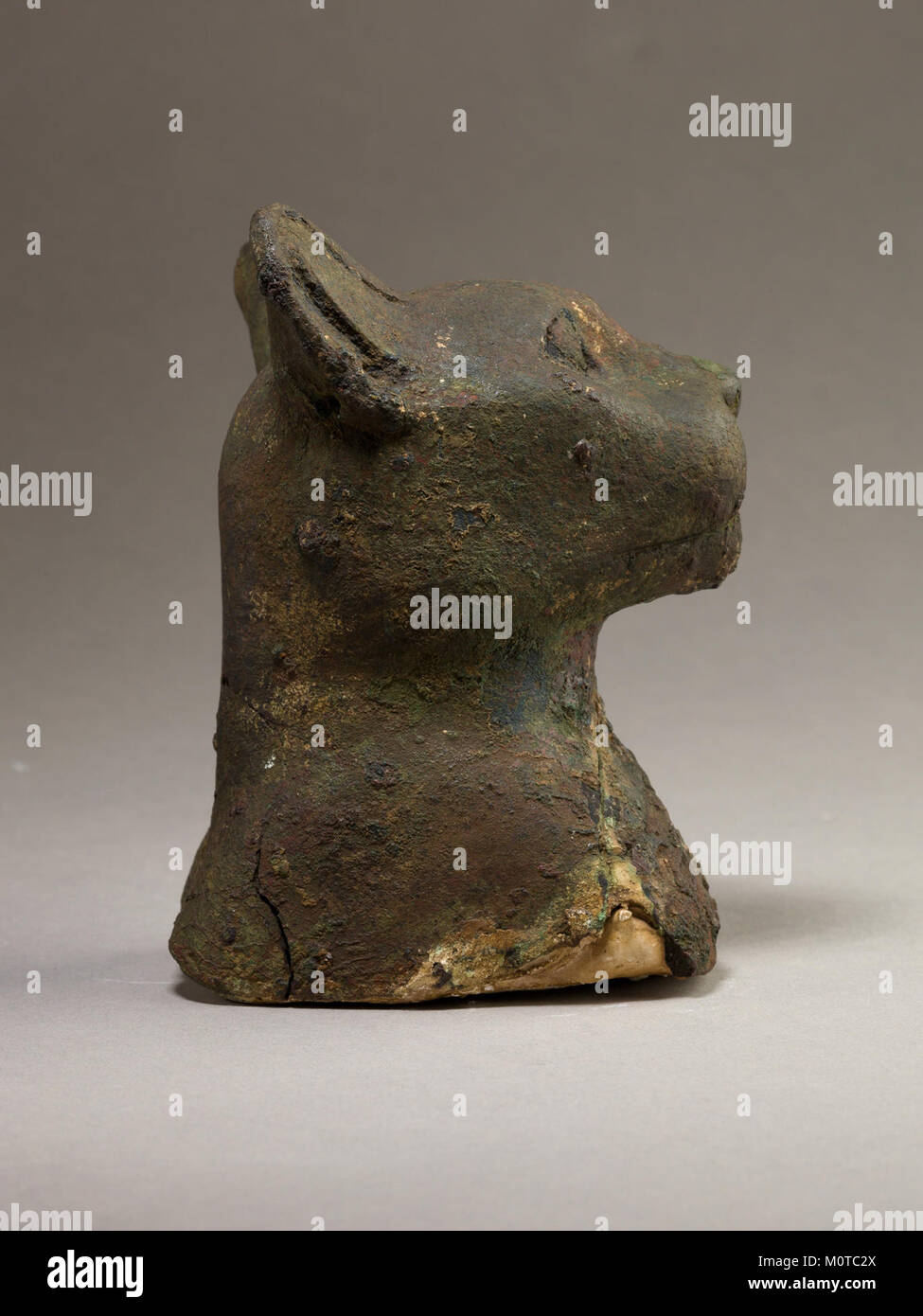 A sculpture titled 'Cat Head' from the collection of the Metropolitan ...