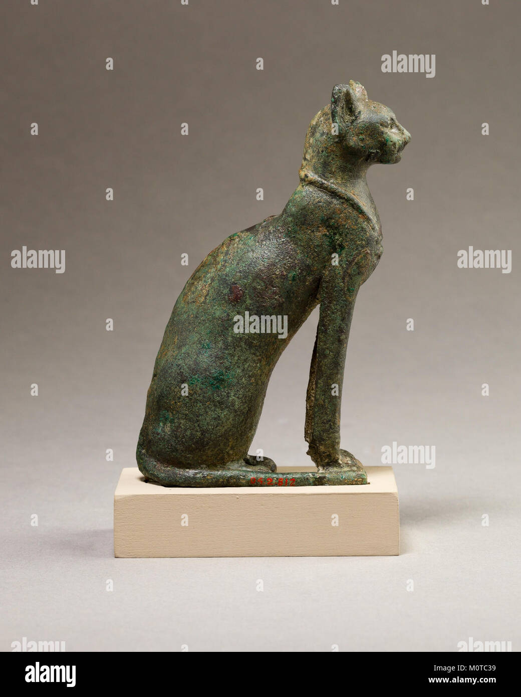 Photograph of a feline specimen, accession number MET 04.2.812, from ...