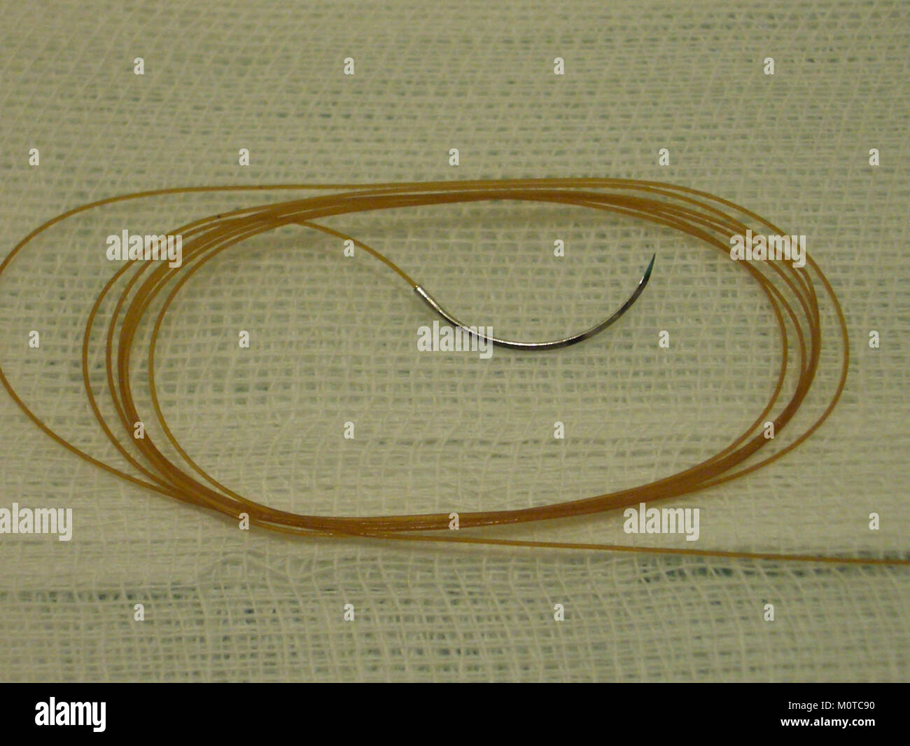 Catgut sutures hi-res stock photography and images - Alamy