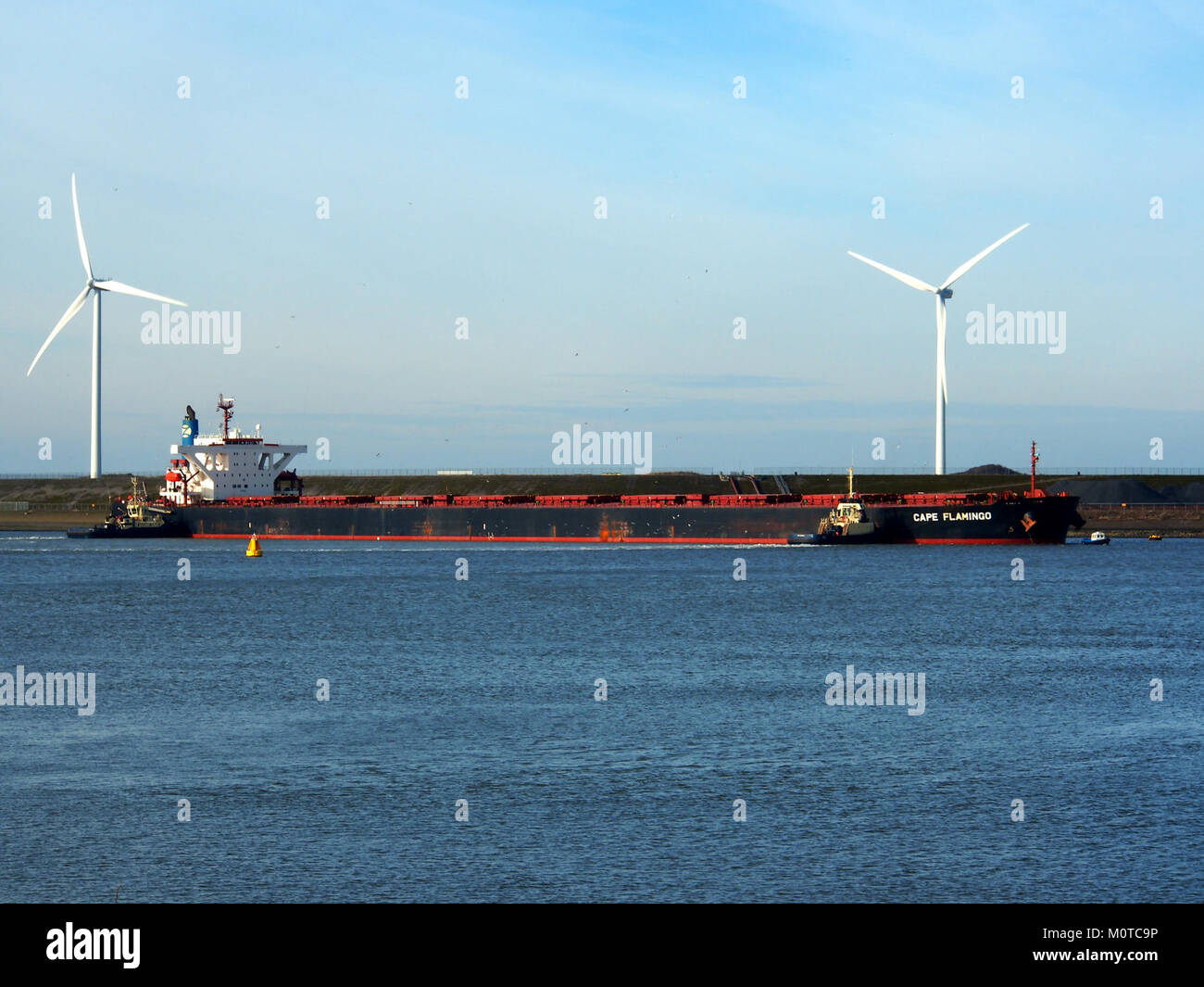 Cape Flamingo is a ship identified by IMO 9344289 and callsign MKVN2 ...