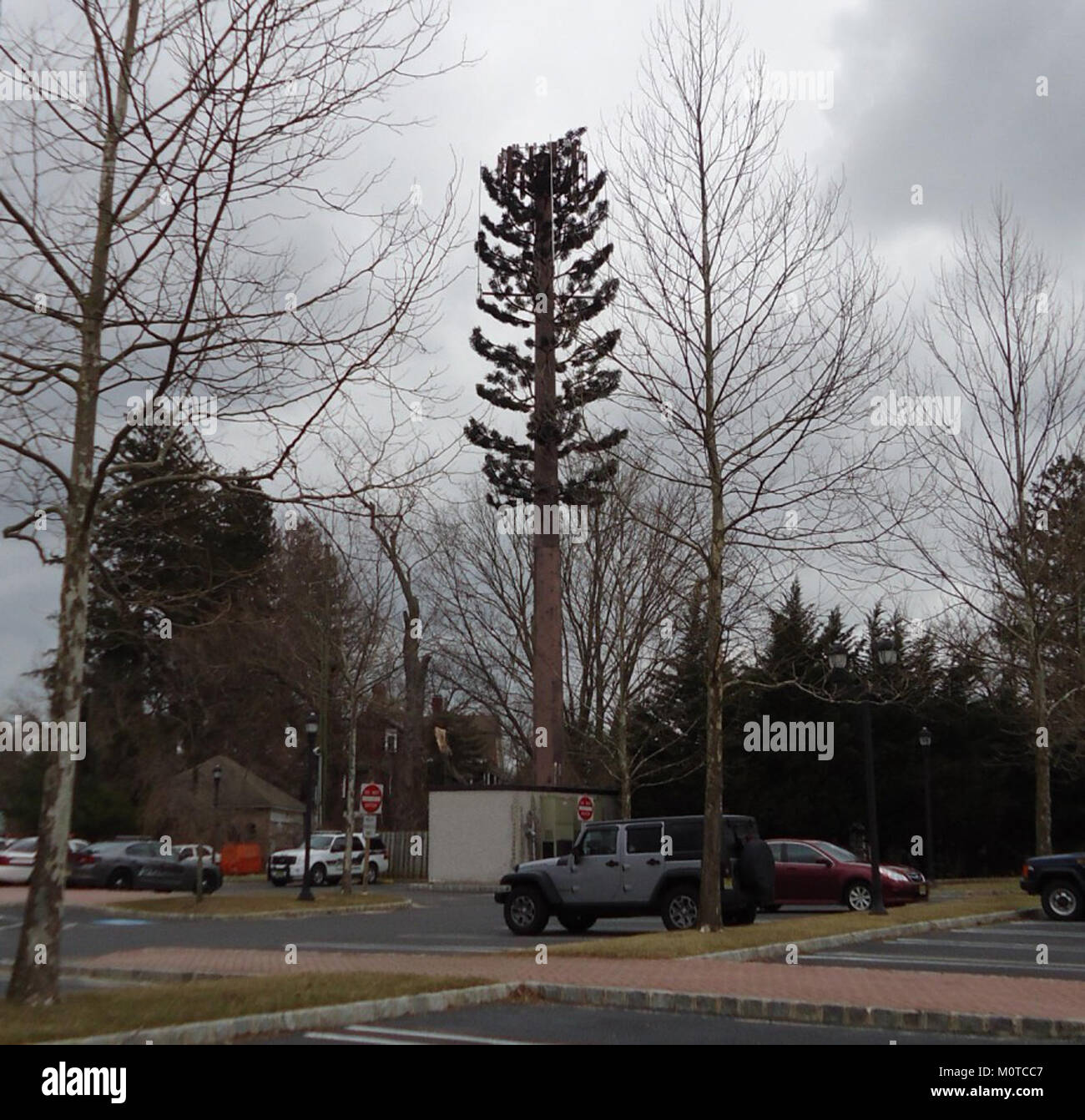 A cell phone tower designed to resemble trees in Shrewsbury, New Jersey ...