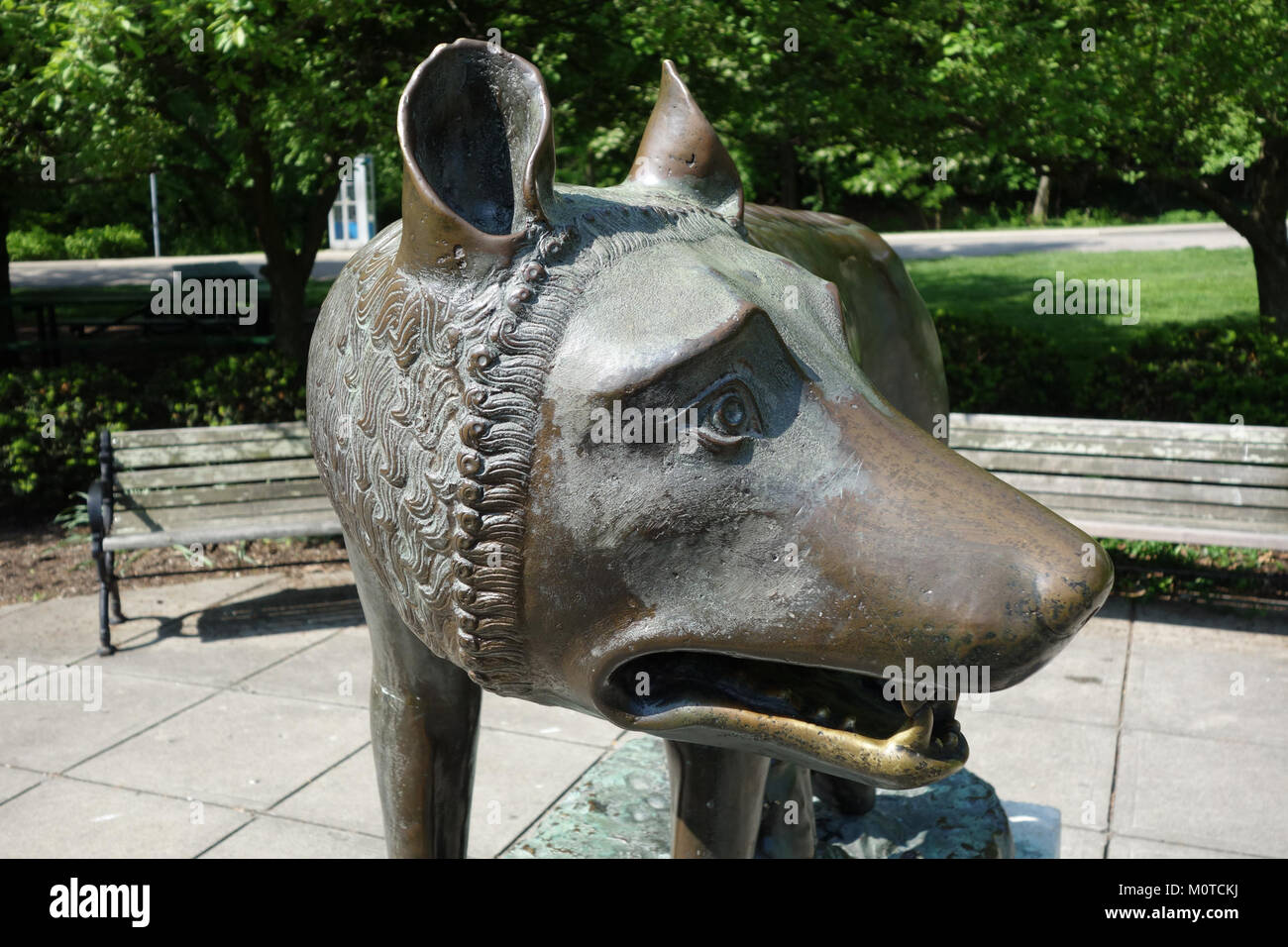 The Capitoline she-wolf sculpture at Eden Park in Cincinnati is a ...