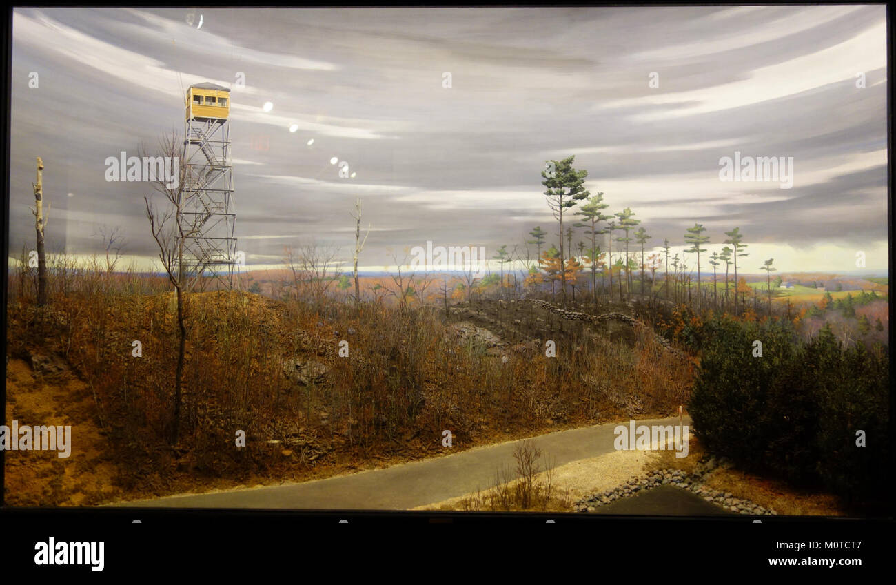 Museum dioramas hi-res stock photography and images - Alamy