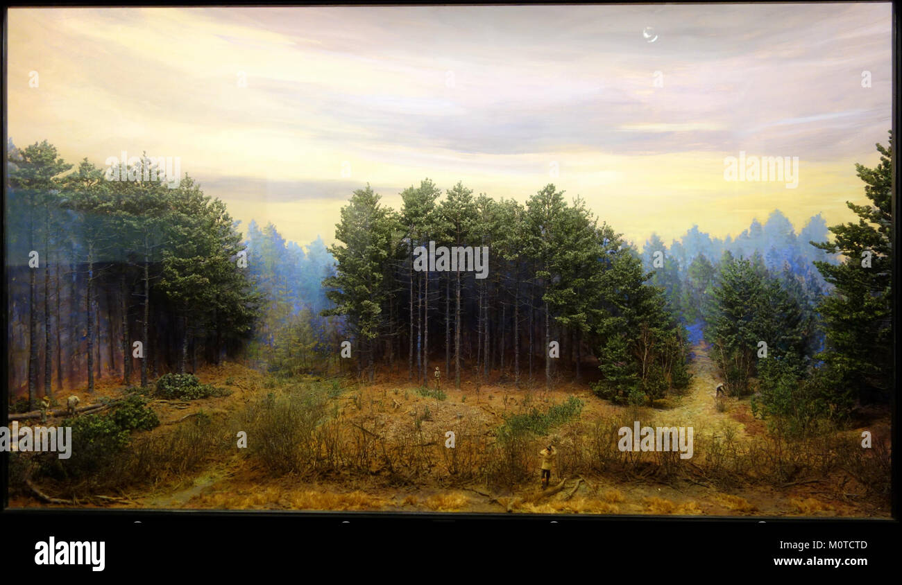 This case study presents the Group Selection Method of Natural ...