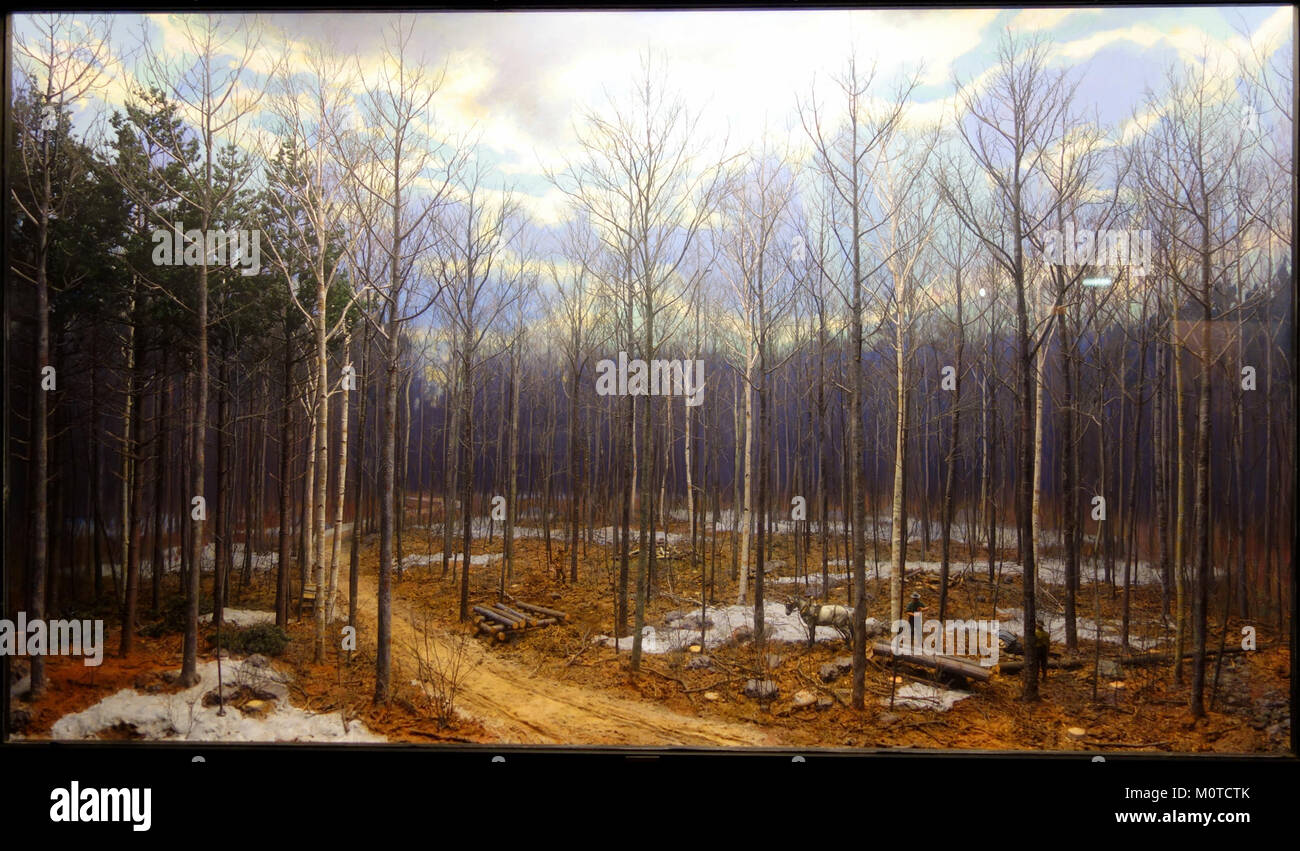 This diorama, displayed at the Fisher Museum in Harvard Forest, depicts ...