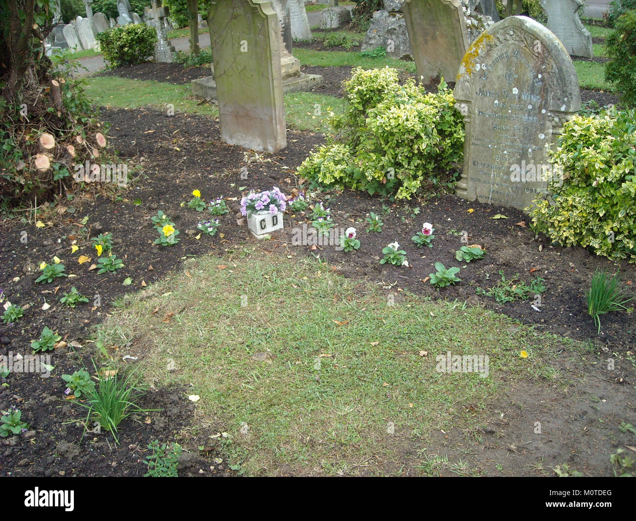 Cemetery Dog Grave refers to a burial site for a dog, often reflecting ...