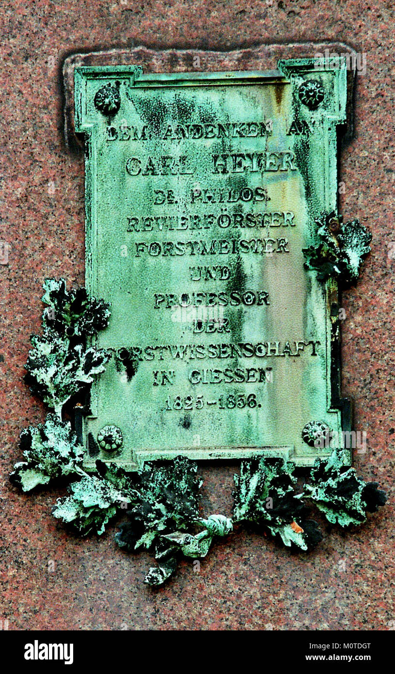 Carl Heyer was a German engineer whose contributions to the development ...