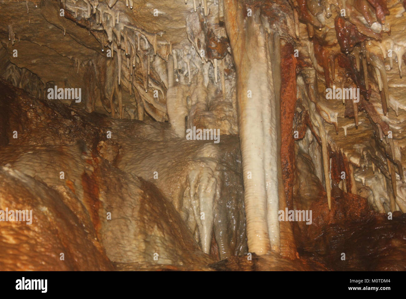 A natural cave formation known as a cave column, formed through the ...