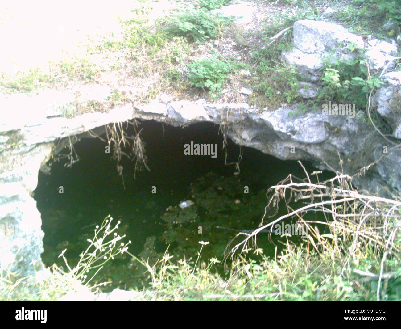 Cenote Chen Ha is a natural freshwater sinkhole located in Mexico’s ...