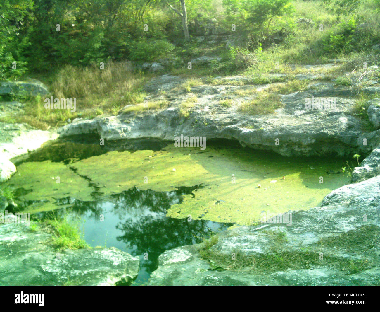 Cenote Chen Ha is a natural sinkhole located in the YucatÃ¡n Peninsula ...