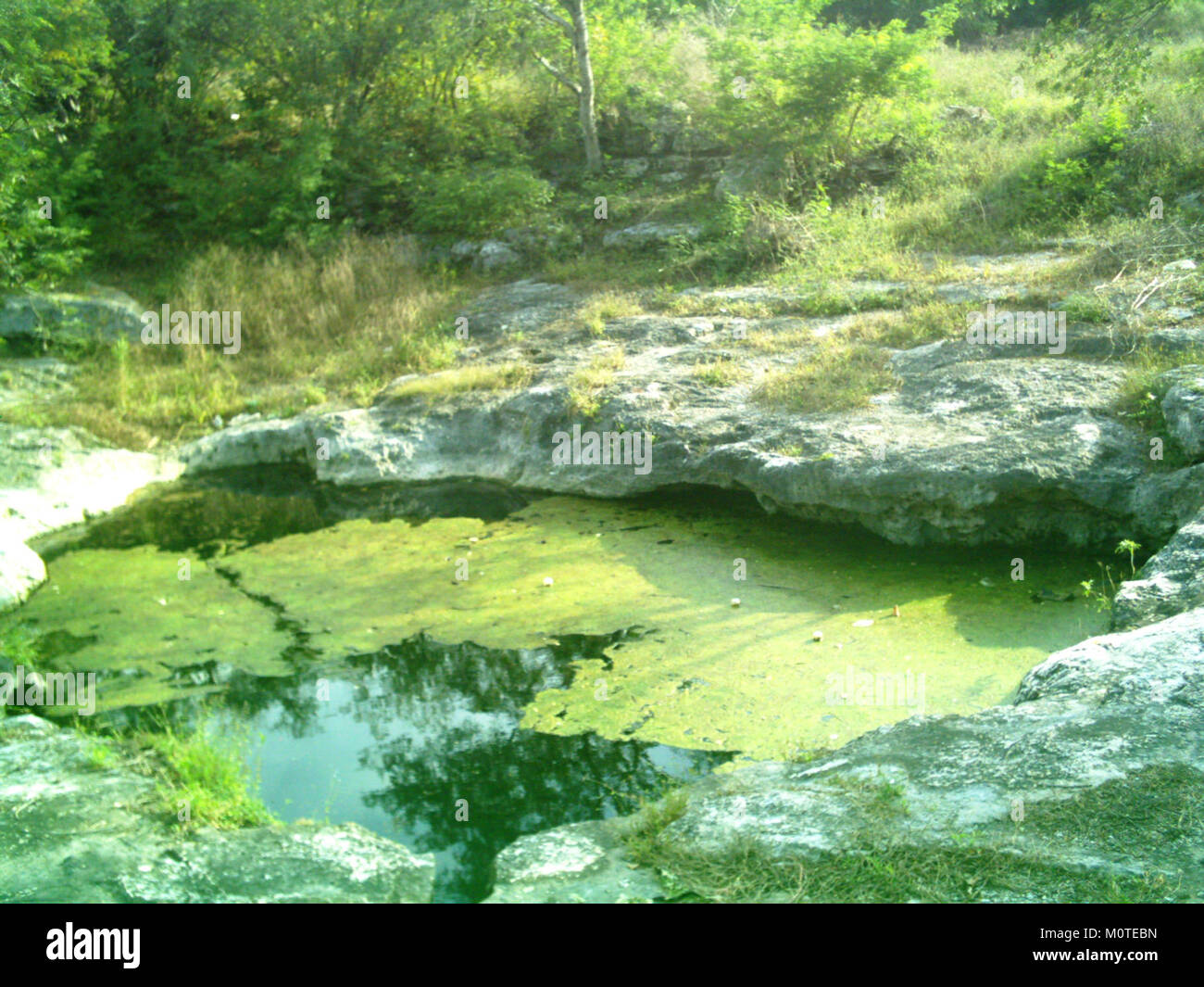 Cenote Chen Ha is a natural water sinkhole located in Mexicoâ€™s ...