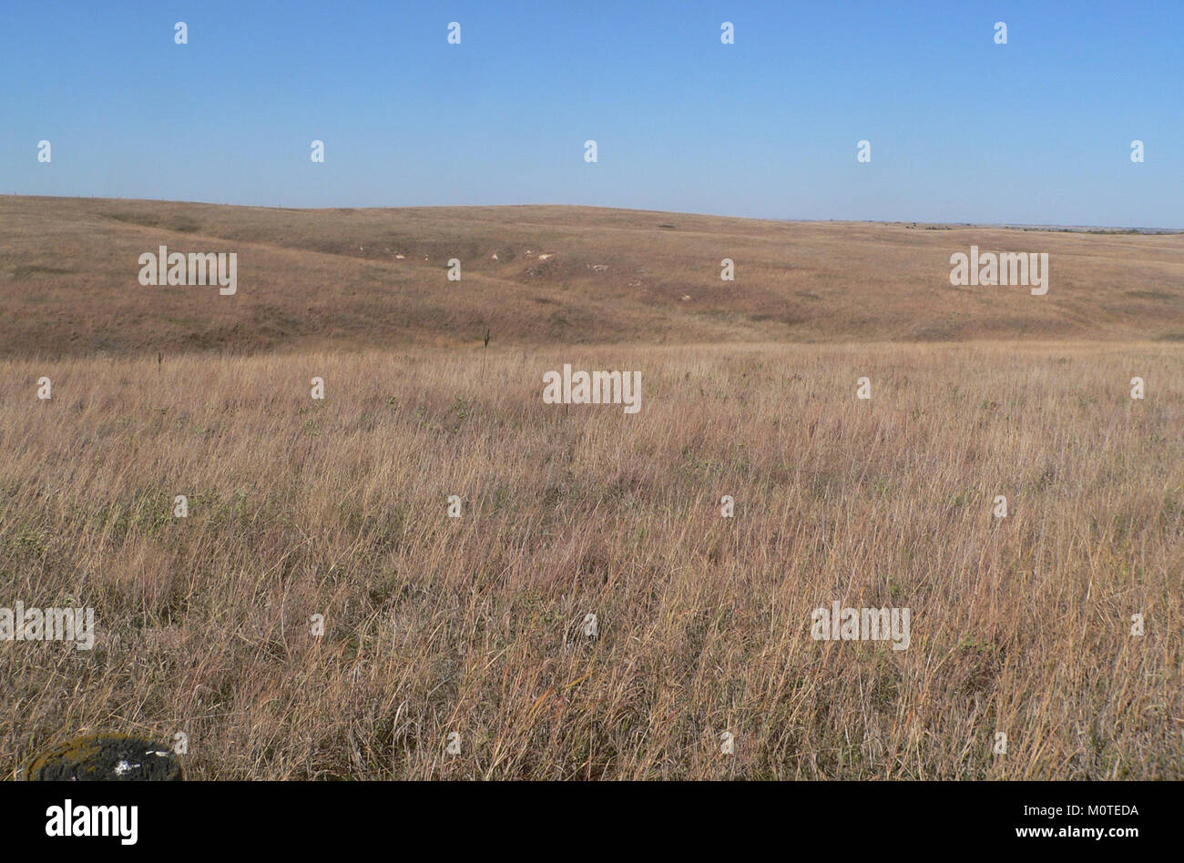 This photograph captures the expansive Cather Prairie in October 2013 ...