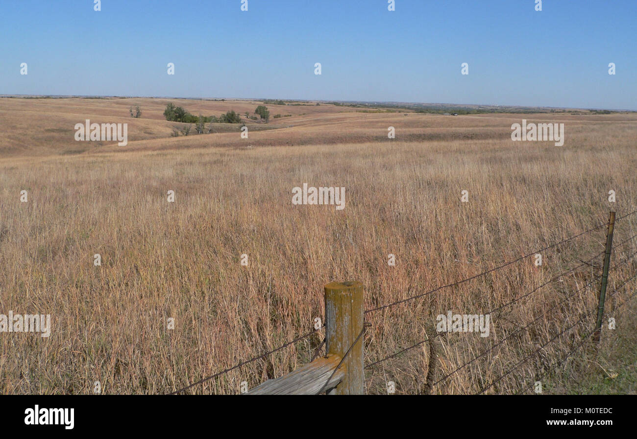 A photograph of Cather Prairie taken in October 2013, showcasing the ...
