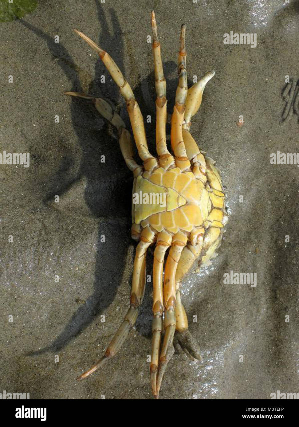 Netherlands 2 hi-res stock photography and images - Alamy