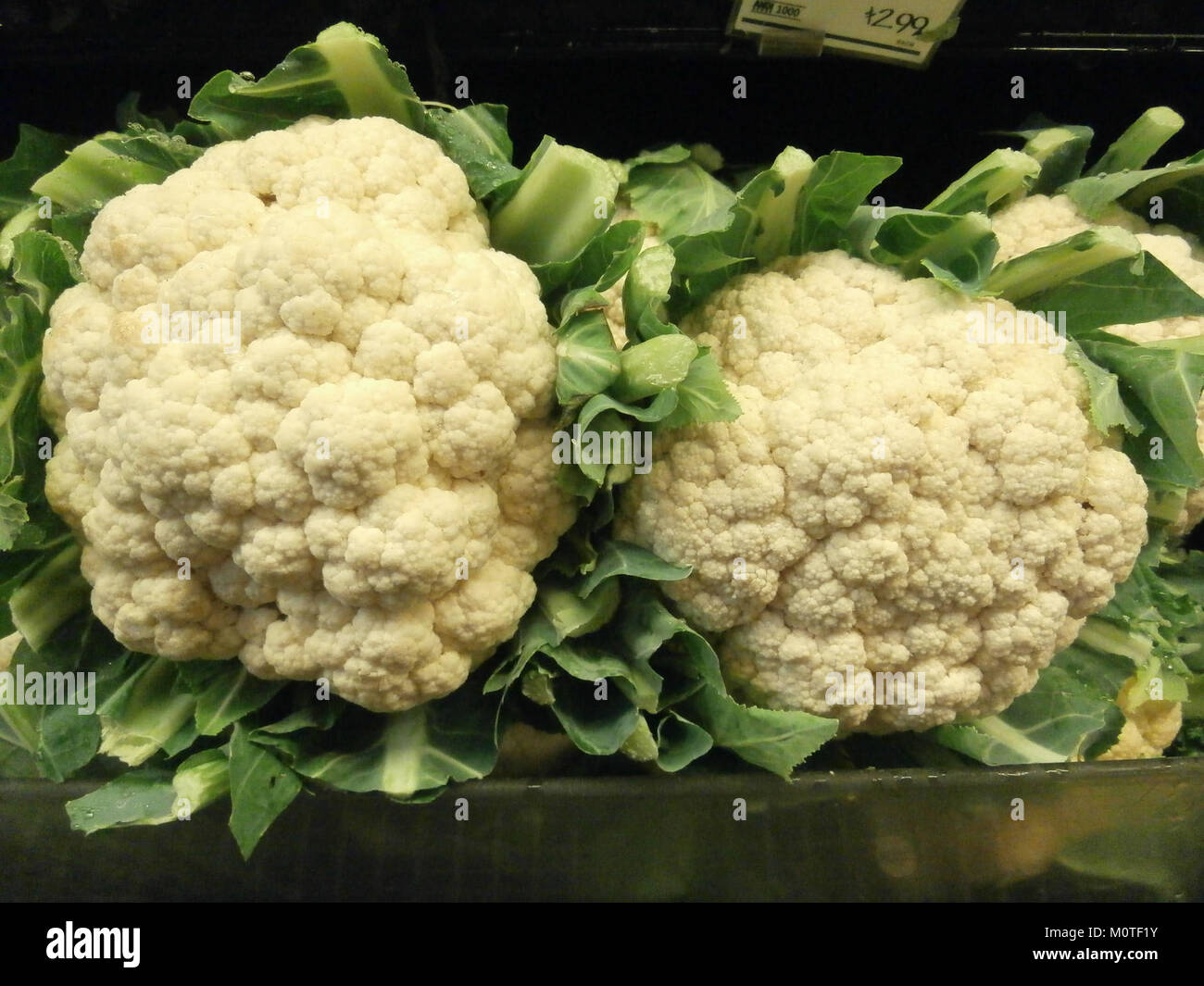 A still life photograph depicting cauliflower heads arranged on a shelf ...