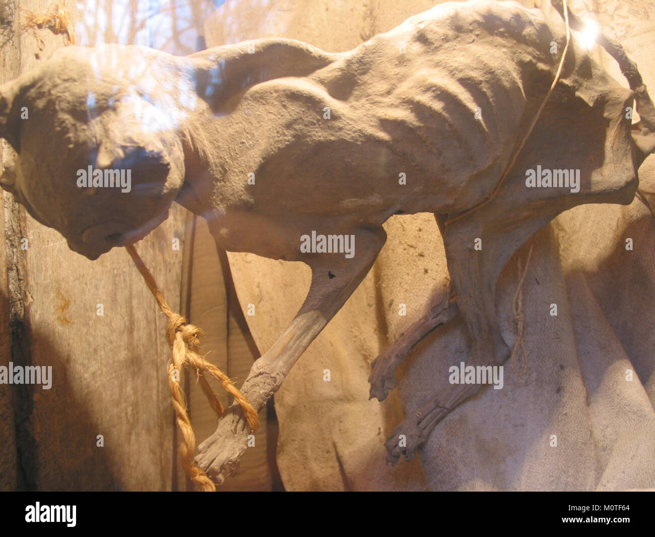 The Cat-AÃ®tre-Saint-Maclou is a historical monument in Rouen, France ...