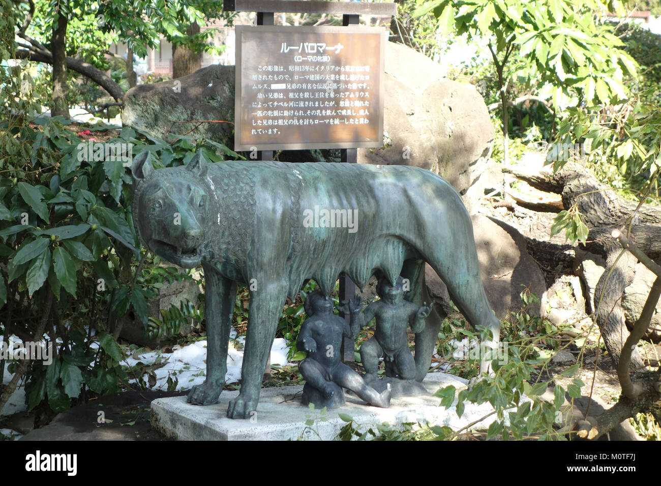 The Capitoline Wolf sculpture, located in Hibiya Park in Tokyo, Japan ...