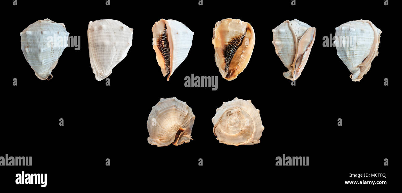 Margarita island caribbean hi-res stock photography and images - Alamy