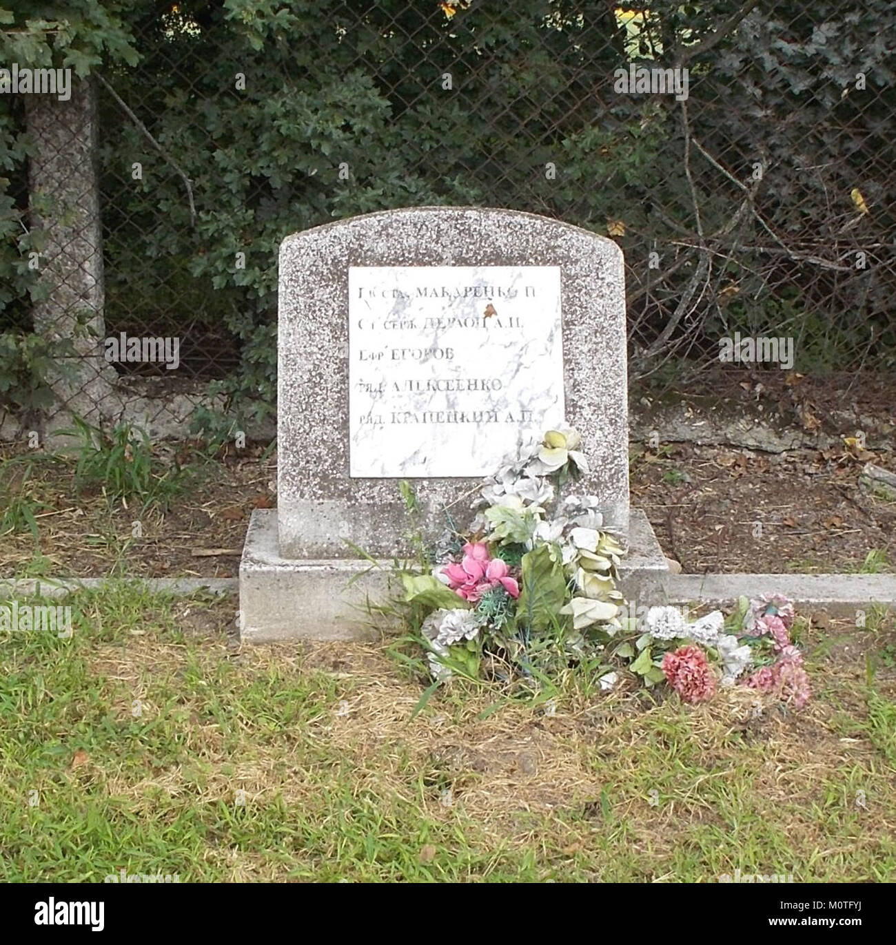 The cemetery in Vecses, Hungary, serves as a significant burial ground ...
