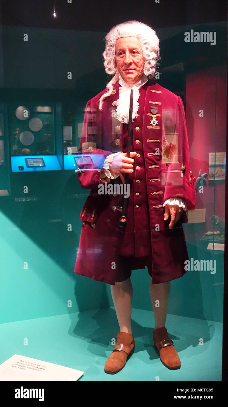 A photograph of Carl Linnaeus, displayed at the Swedish Museum of ...
