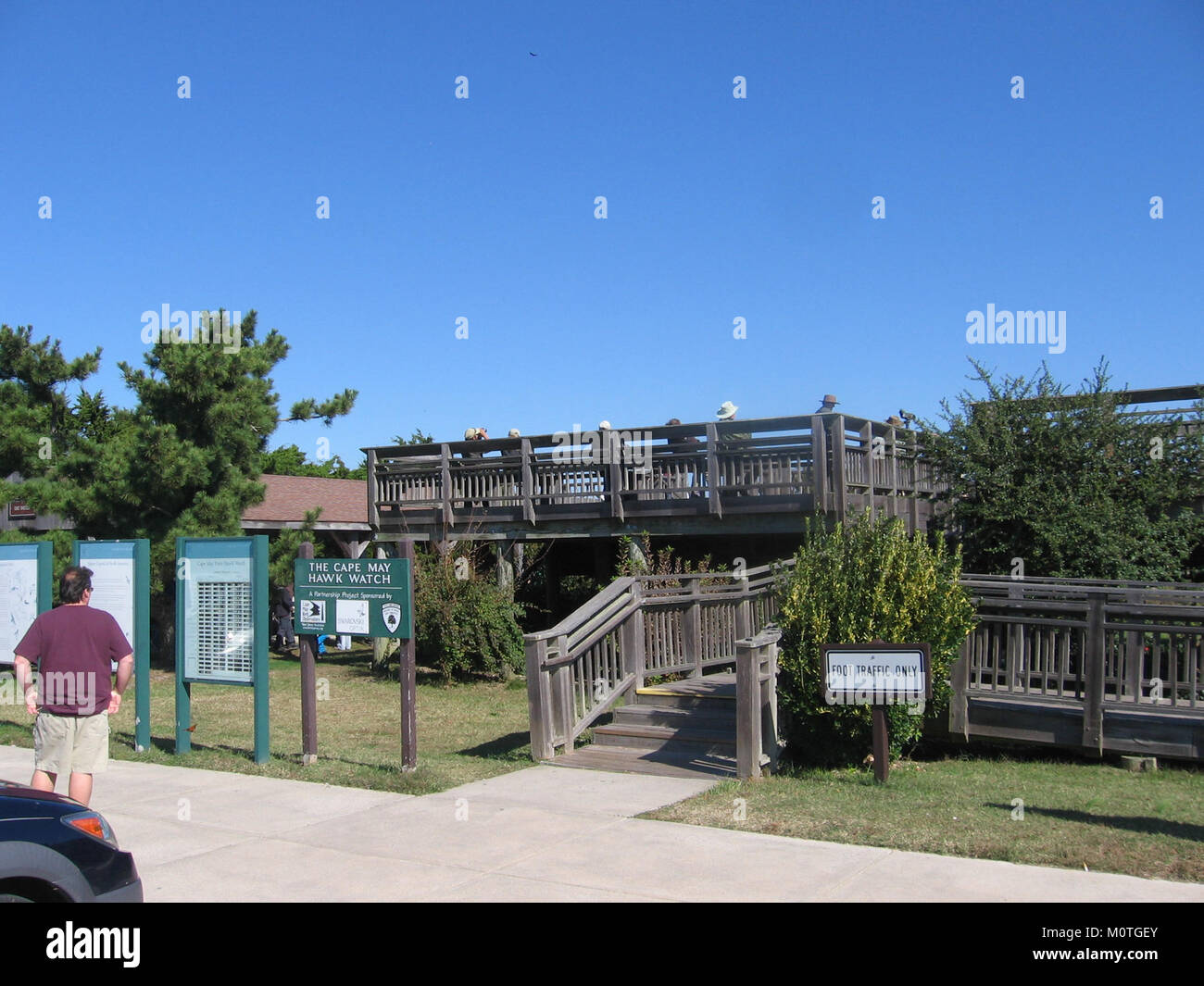 Cape May Hawk Watch is a popular birdwatching site in Cape May, New ...